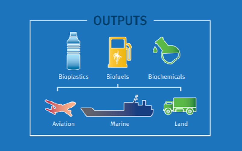 Six new biofutures projects set to commence in Qld - Australian ...