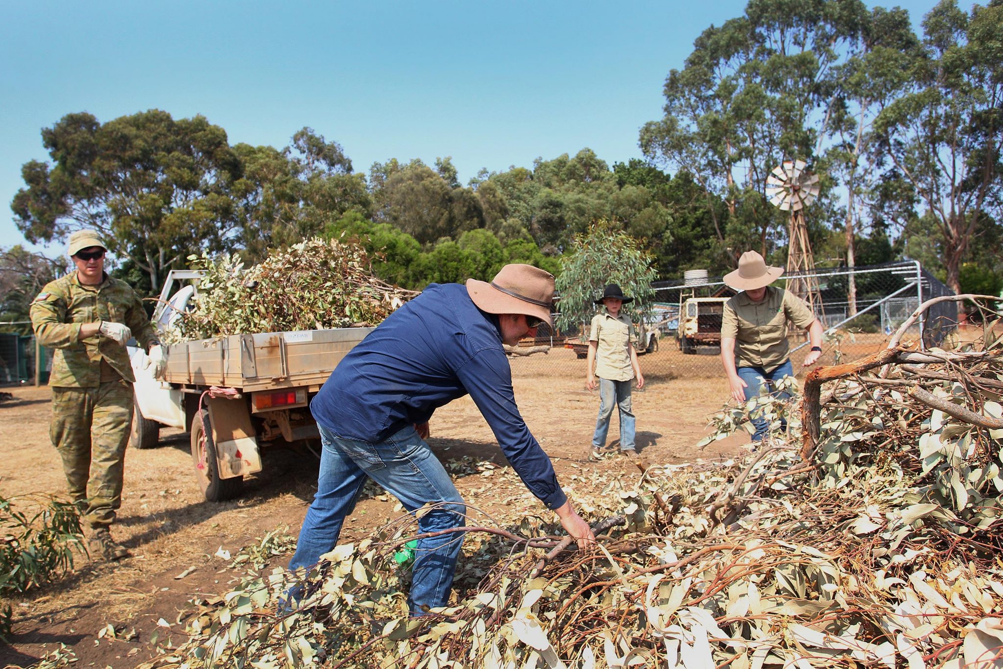Minderoo Foundation Provides Funds and Resources to Bushfire Response ...