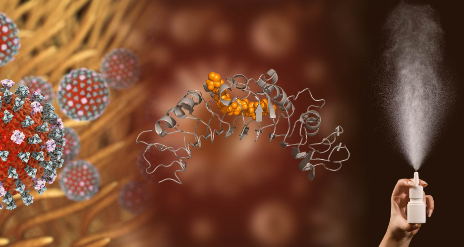 Nasal spray with potential to fight COVID-19 to be manufactured in ...