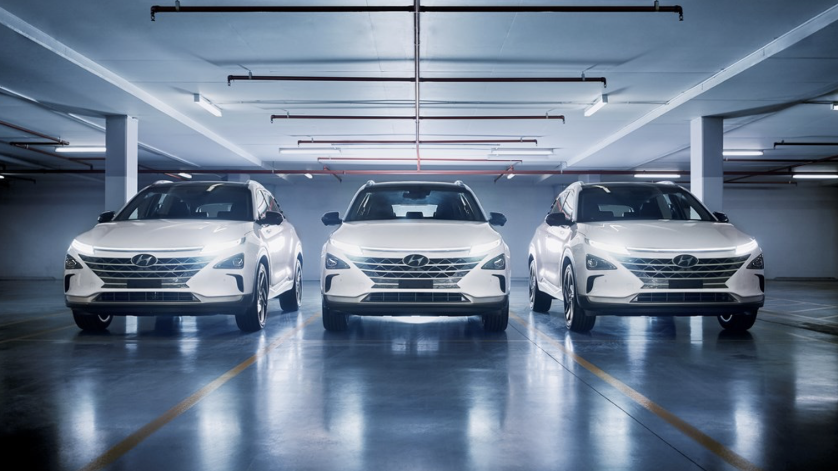 Qld Government launches three-year trial of hydrogen-powered vehicles ...