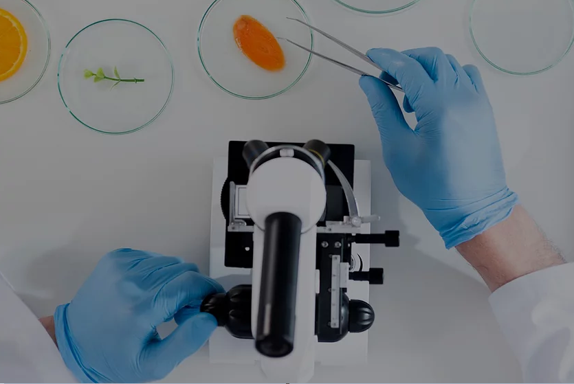 Nanobiotech company NanoGel becomes AMGC’s 3,000th member - Australian ...