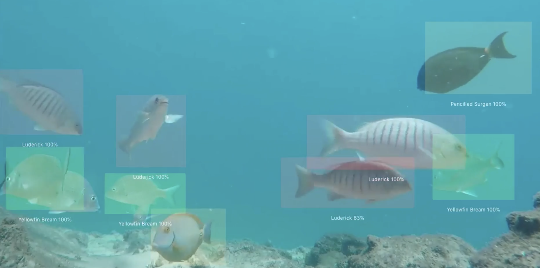 Australian manufacturer provides new perspective to ocean of ...