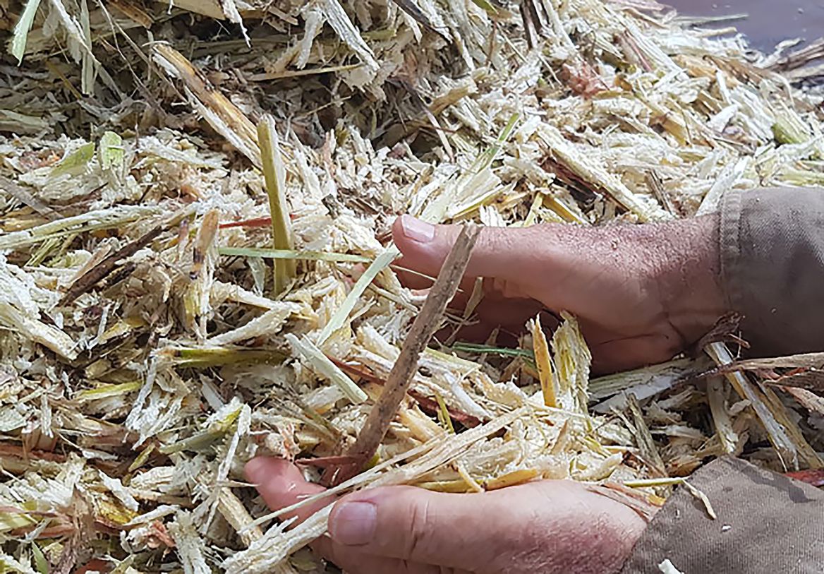 Australian manufacturer creating high-value ingredients from ...