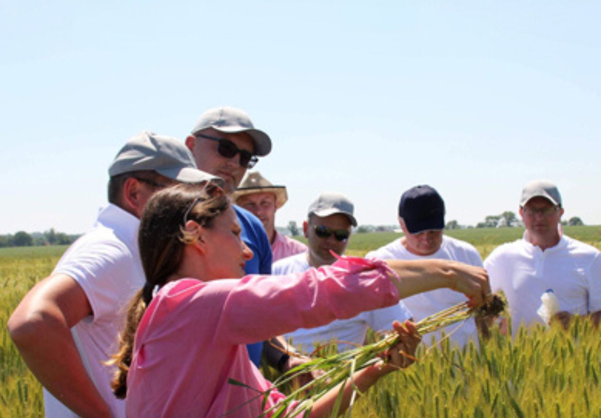 Nufarm acquires GranBio’s energy cane assets to expand biomass ...