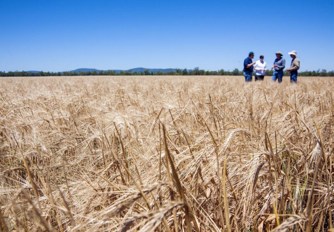 CSIRO announces $90m investment to accelerate Australia’s low-emissions ...