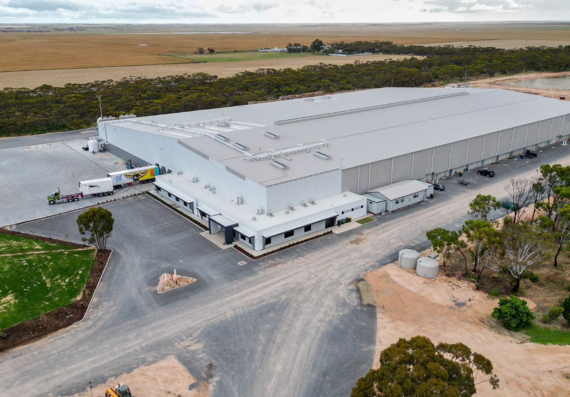 The Pye Group opens the largest potato packing facility of its kind in ...