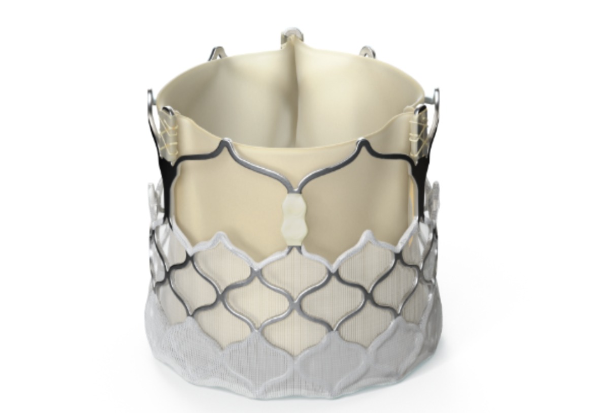 Anteris Technologies to help develop new heart valve repair solution ...