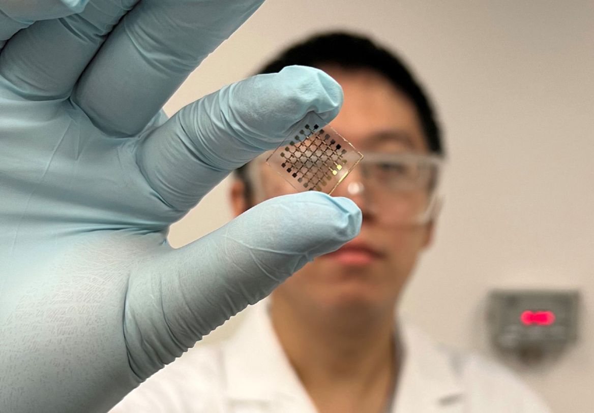 UNSW Sydney scientists create skin-like artificial sensors - Australian ...