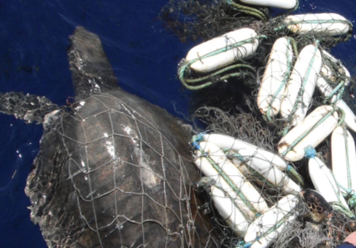 New plastic pollution recycling program launched in NT to protect ...