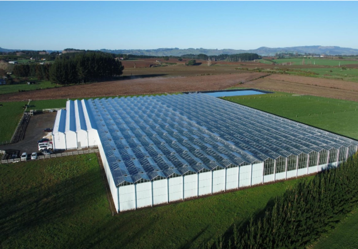 Greenhouse builder Apex sells minority stake to Dutch player ...
