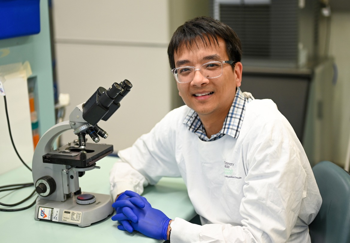 Researchers discover novel drug that shows potential in treating ...