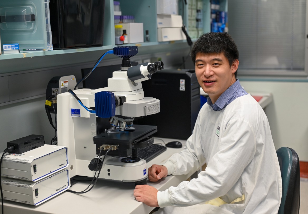Key antiviral protein TLR7 found to worsen lung diseases, says research ...