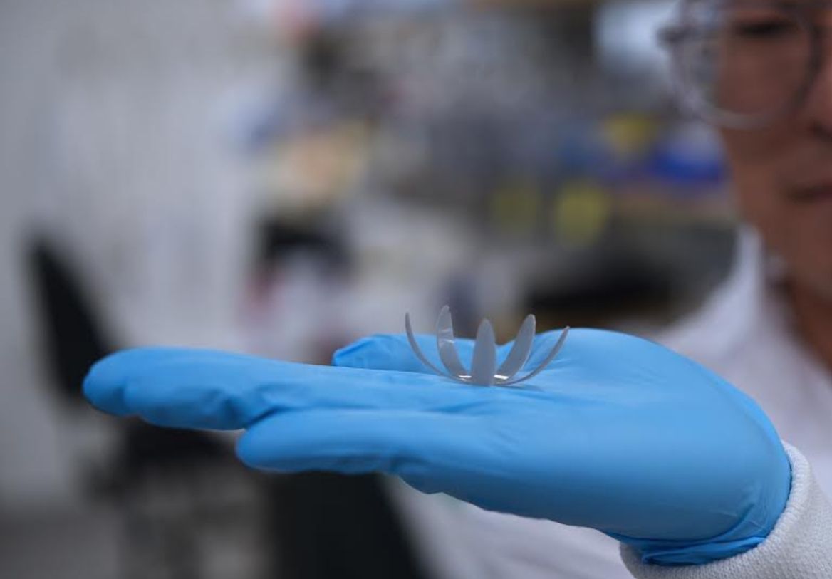 UQ researchers unveil 4D printing technology to revolutionise soft ...