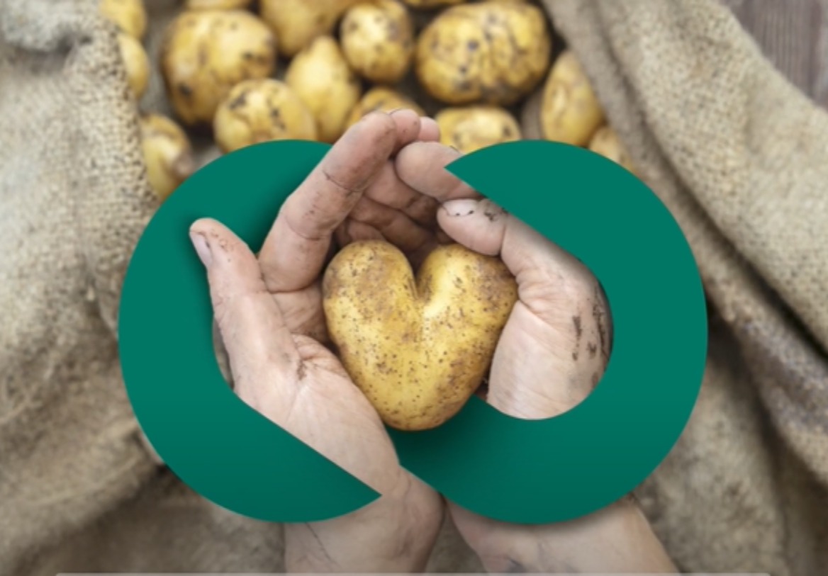New action plans unveiled to combat fruit and vegetable waste crisis ...