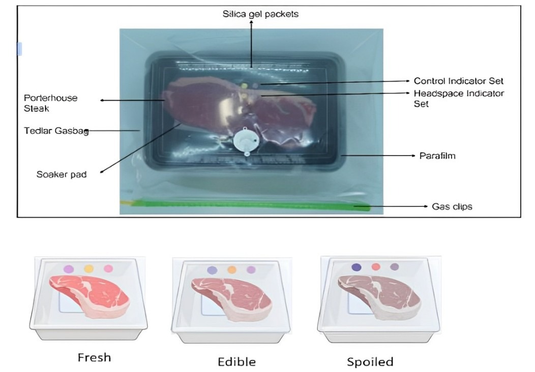 Colour-changing meat labels to replace use-by dates, reducing food ...