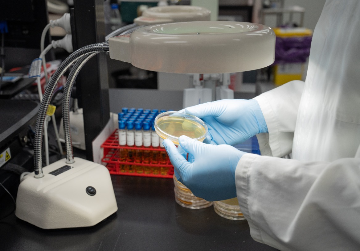 Pfizer transforms Melbourne facility into cutting-edge pharmaceutical ...