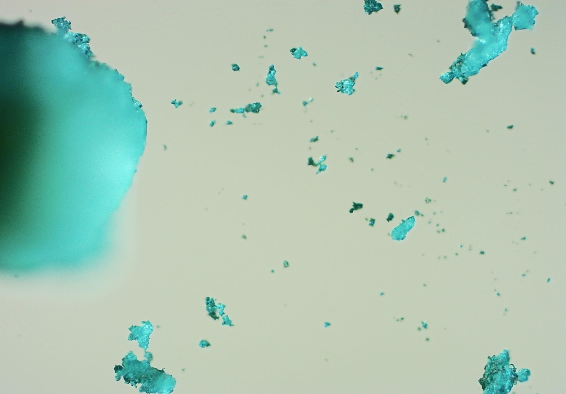 Monash Researchers Develop Ai Tool To Speed Up Microplastics Detection Australian Manufacturing