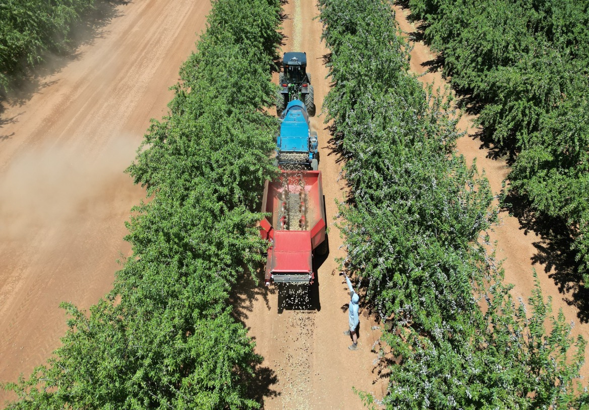 New partnership aims to revolutionise orchard farming with automation ...