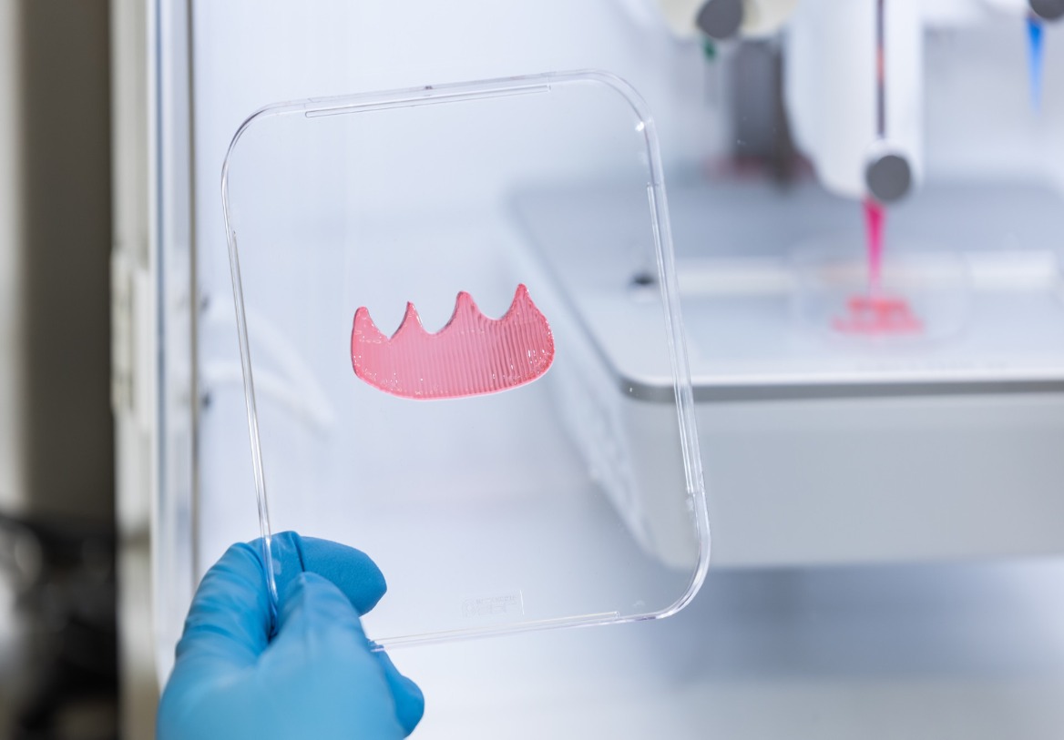 NUS researchers pioneer AI-driven 3D bioprinting for custom gum tissue ...