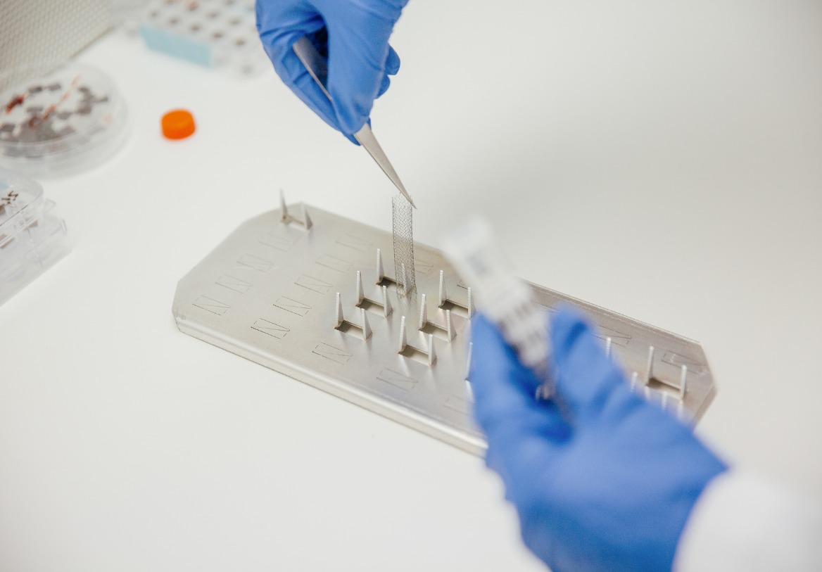 Australian biotech firm TekCyte names co-CEOs to drive global growth ...