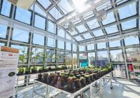 New QBuild Cairns facility to boost manufacturing for homes in ...