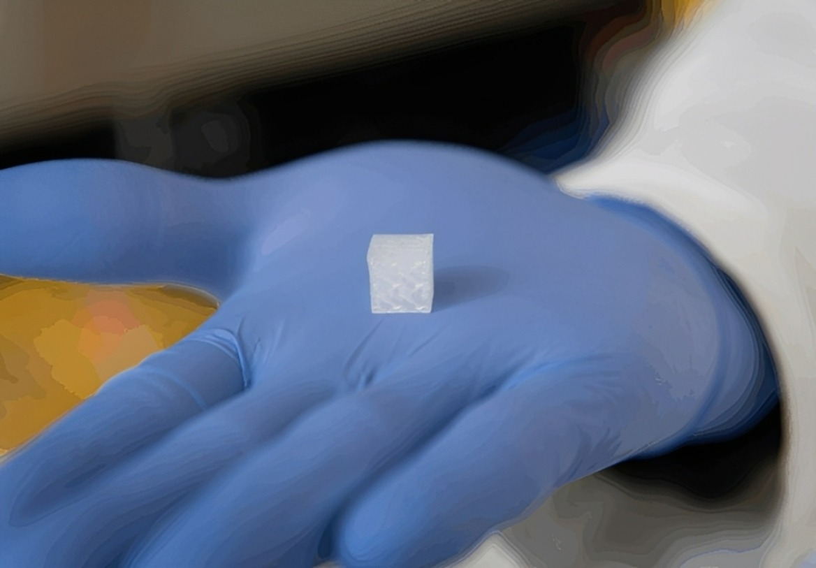 Space-based experiment to study manufacturing of bioprinted liver ...